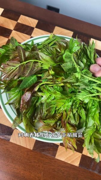 香椿炒蛋怎么做_香椿炒蛋需要焯水吗-第3张图片-山城妙识