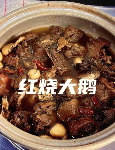 鹅的做法大全家常做法视频_鹅肉怎么做好吃又简单-第3张图片-山城妙识