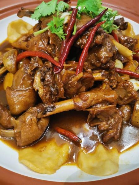 鹅的做法大全家常做法视频_鹅肉怎么做好吃又简单-第2张图片-山城妙识