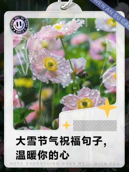 大雪节气祝福语怎么写_大雪节气祝福语有哪些-第3张图片-山城妙识