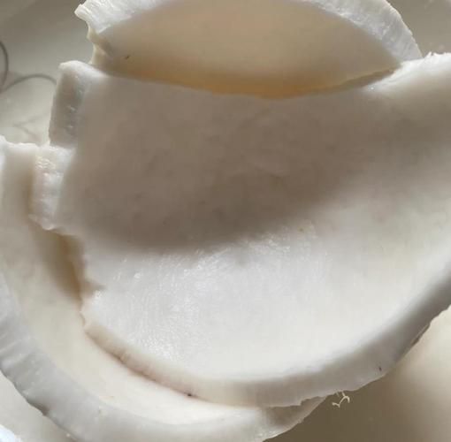 椰子里的白肉怎么吃_椰子白肉食用方法-第2张图片-山城妙识
