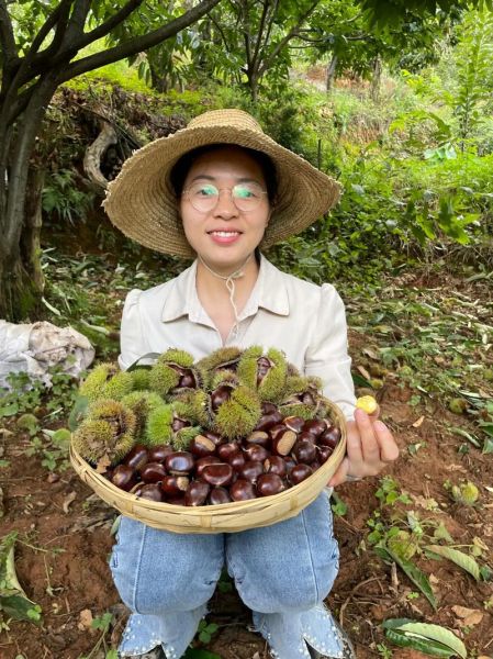 家里炒板栗怎么炒_炒板栗用不用先开口-第1张图片-山城妙识