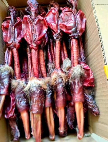 壮阳什么鞭最好_鹿鞭牛鞭马鞭哪个壮阳效果强-第1张图片-山城妙识