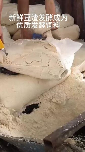 发酵豆渣喂猪能省多少饲料_发酵豆渣喂猪成本对比-第1张图片-山城妙识