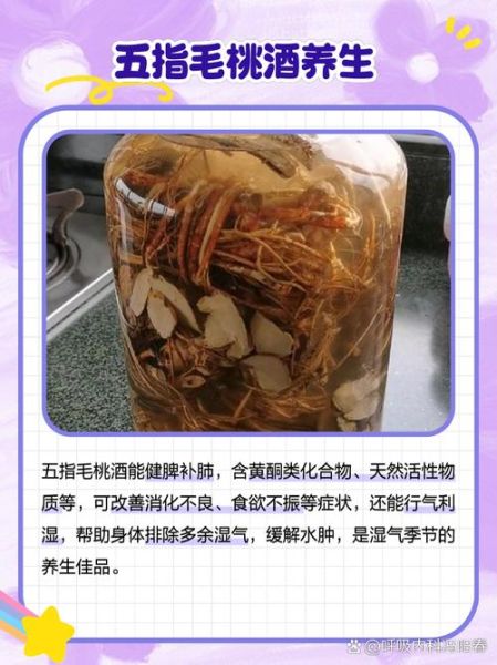 五指毛桃根泡酒壮阳多久见效_五指毛桃根壮阳泡酒配方-第3张图片-山城妙识