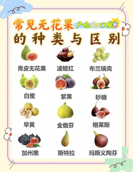 无花果怎么吃正确方法_无花果一天吃几个最好-第1张图片-山城妙识