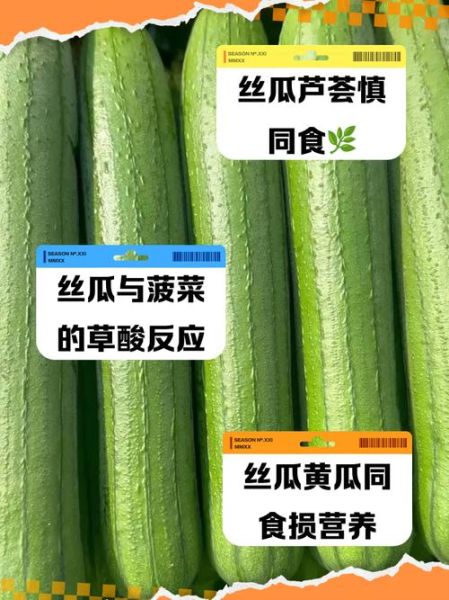 丝瓜不能和什么一起吃_丝瓜相克食物有哪些-第1张图片-山城妙识