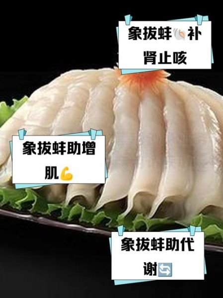 象拔蚌营养价值_象拔蚌功效与作用-第1张图片-山城妙识