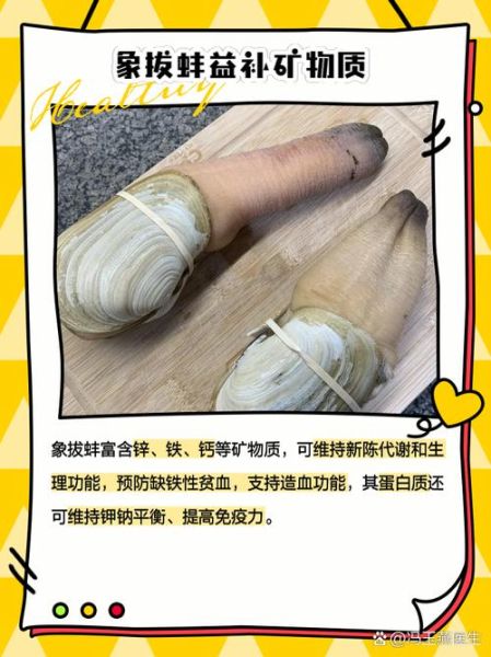 象拔蚌营养价值_象拔蚌功效与作用-第2张图片-山城妙识