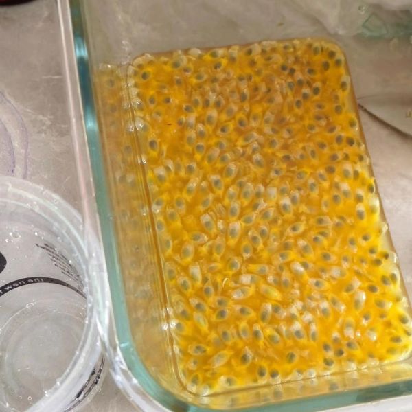 百香果汁怎么做_百香果汁的做法和配方-第1张图片-山城妙识