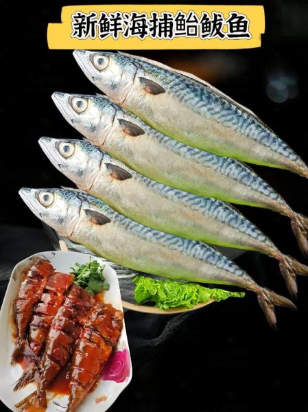 鲐鱼图片_如何挑选新鲜鲐鱼-第3张图片-山城妙识