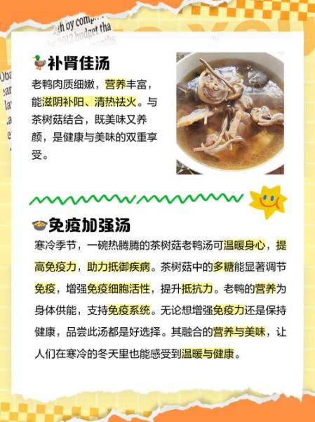 茶树菇老鸭汤怎么炖不腥_茶树菇老鸭汤功效与禁忌-第1张图片-山城妙识