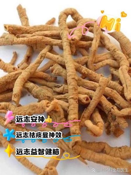 远志毒性有多大_远志中毒怎么办-第1张图片-山城妙识 远志毒性有多大_远志中毒怎么办-第1张图片-山城妙识