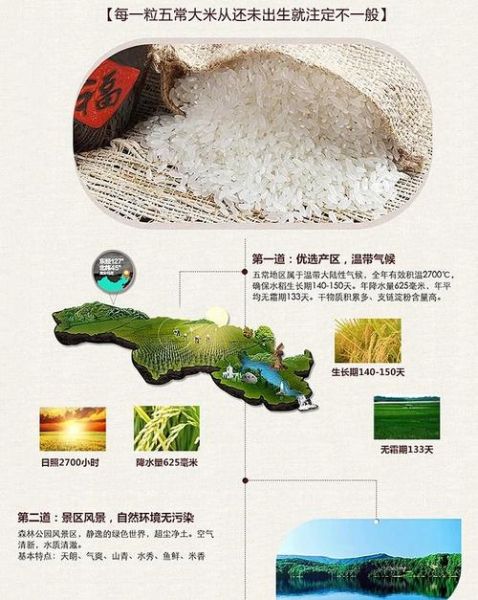 五常大米为什么好吃_五常大米怎么选-第1张图片-山城妙识
