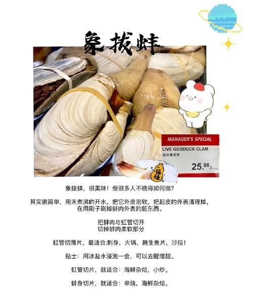 象牙蚌女生能用吗_女生使用象牙蚌注意事项-第3张图片-山城妙识