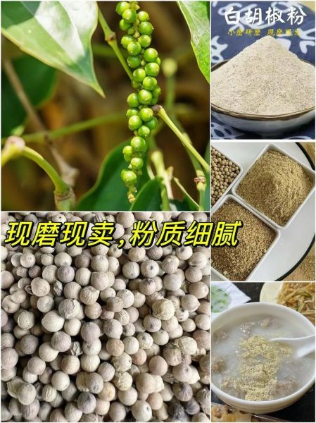胡椒粉哪个牌子的比较好吃_家用胡椒粉推荐-第1张图片-山城妙识
