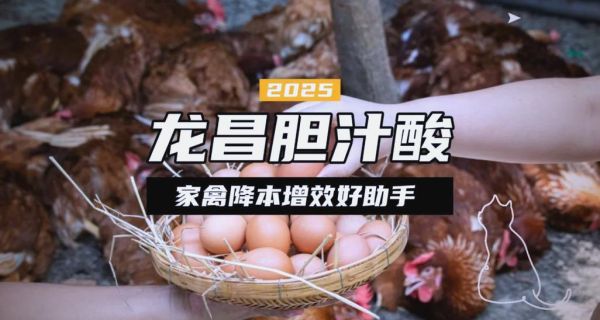 鹌鹑一天下几个蛋_如何提高产蛋率-第1张图片-山城妙识