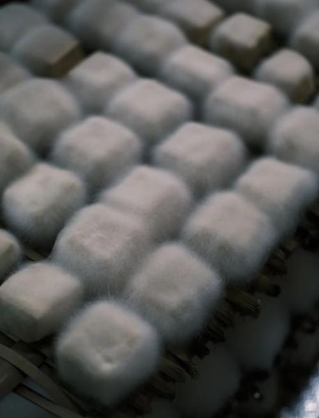 毛豆腐的危害有多大_毛豆腐吃了会致癌吗-第3张图片-山城妙识