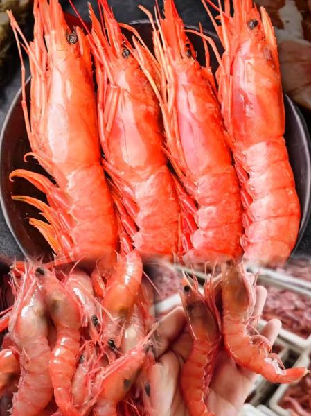 海虾图片大全_如何挑选新鲜海虾-第2张图片-山城妙识