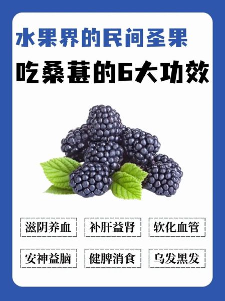 桑葚的主要功效是什么_桑葚怎么吃效果最好-第2张图片-山城妙识