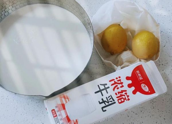 酸奶怎么做奶酪_自制奶酪详细步骤-第2张图片-山城妙识