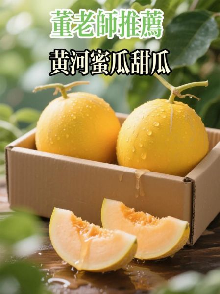 黄河蜜瓜的功效与作用_孕妇能吃吗-第1张图片-山城妙识