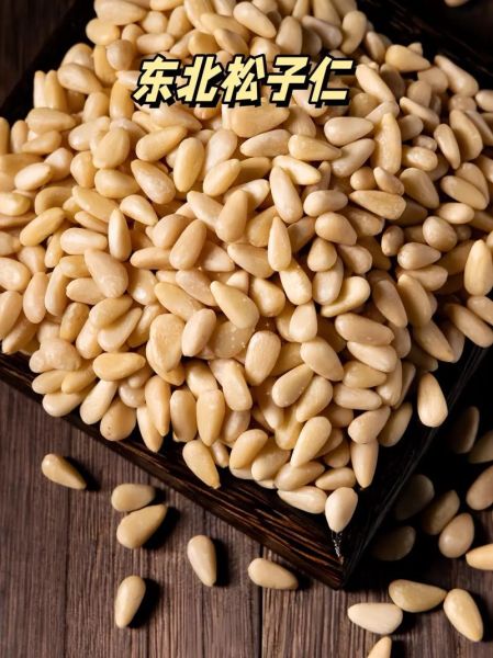 松子仁多少钱一斤_松子仁价格行情-第2张图片-山城妙识