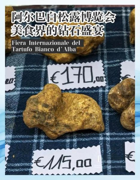 大s吃的白松露是什么_白松露价格为什么这么贵-第3张图片-山城妙识