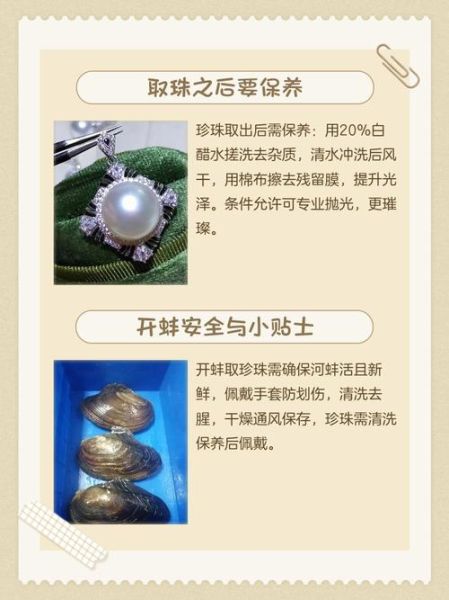 象拔蚌进到里面了怎么办_紧急处理步骤-第2张图片-山城妙识