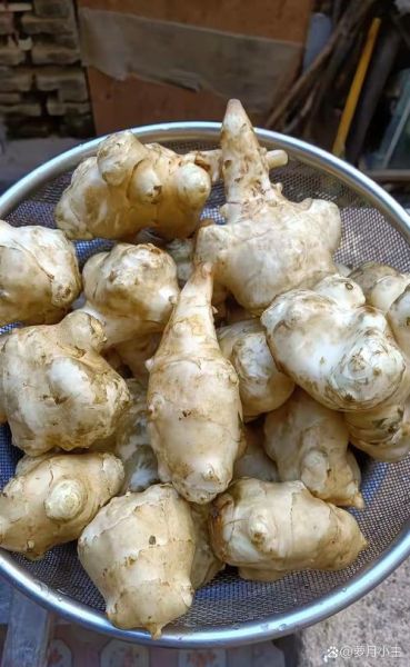 常吃鬼子姜有哪些危害_鬼子姜吃多了会中毒吗-第1张图片-山城妙识