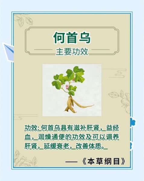 制何首乌泡水喝的副作用_何首乌泡水禁忌-第2张图片-山城妙识