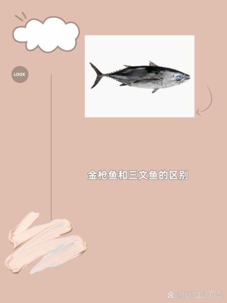 金枪鱼和三文鱼哪个贵_价格差异原因-第2张图片-山城妙识