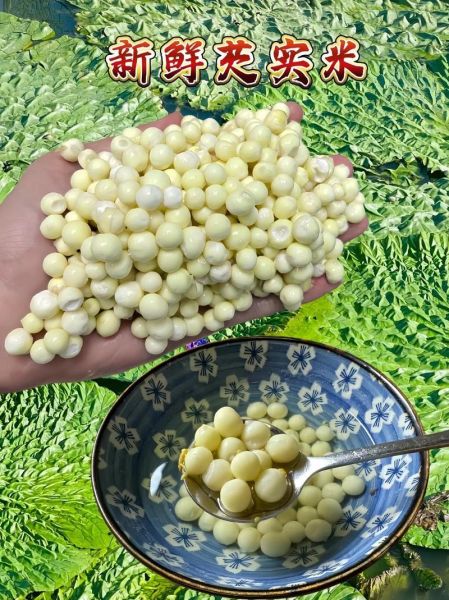 芡实和鸡头米有什么区别_鸡头米是芡实吗-第3张图片-山城妙识