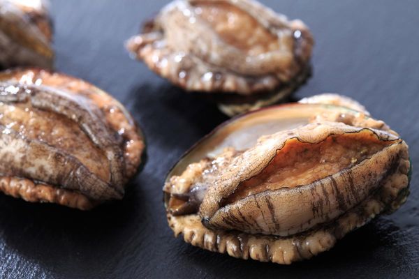 鲍鱼是什么意思_网络用语鲍鱼是什么梗-第1张图片-山城妙识