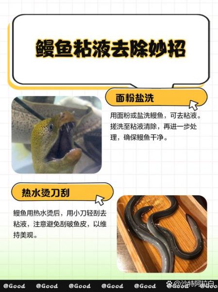 黄鳝怎么处理比较干净_黄鳝去粘液技巧-第1张图片-山城妙识
