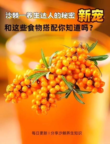 沙棘果的功效与作用适合人群_沙棘果什么人不能吃-第2张图片-山城妙识