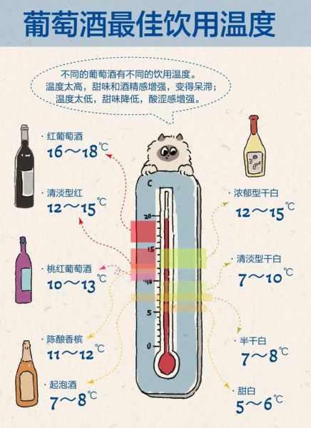 葡萄酒怎么喝才正确_葡萄酒饮用温度是多少-第3张图片-山城妙识