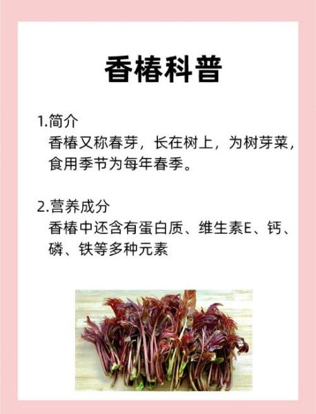 香椿树皮的功效与作用_香椿树皮怎么用-第3张图片-山城妙识