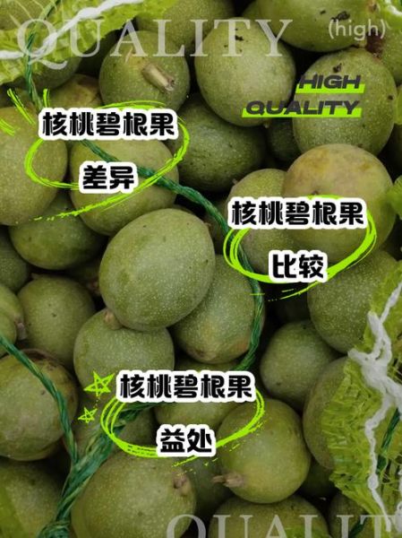 碧根果和核桃哪个营养价值高_碧根果与核桃的区别-第1张图片-山城妙识