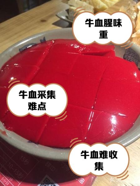 牛血为什么没人吃_牛血能吃吗-第2张图片-山城妙识
