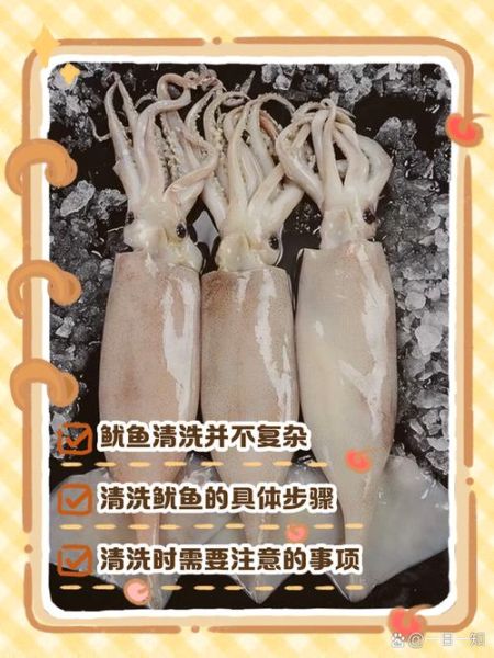 鱿鱼须的吸盘怎么处理_如何彻底清洗干净-第1张图片-山城妙识