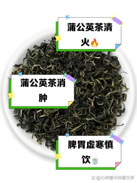 蒲公英茶怎么制作_蒲公英茶的功效与作用-第3张图片-山城妙识