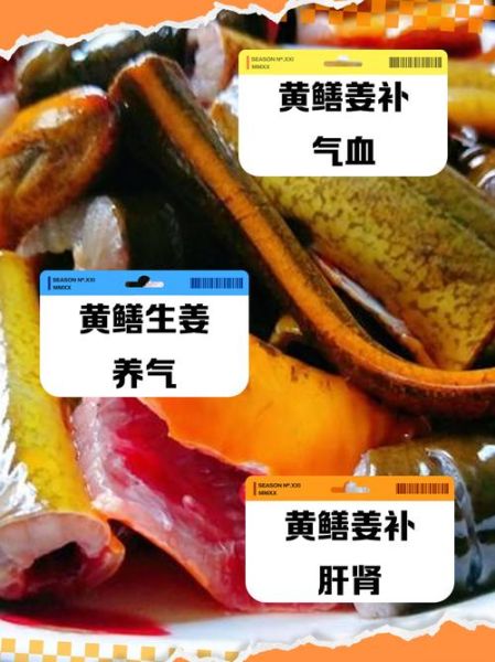 黄鳝和什么搭配最营养_黄鳝怎么吃最补-第2张图片-山城妙识