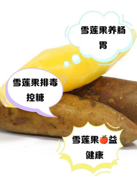 雪莲果怎么吃_雪莲果的功效与作用-第2张图片-山城妙识