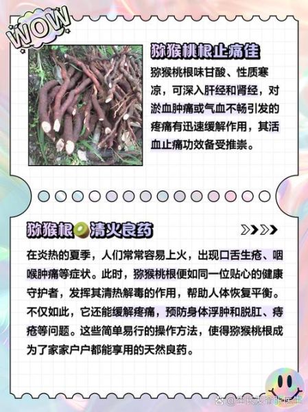 野猕猴桃根抗肿瘤偏方_真的有效吗-第1张图片-山城妙识