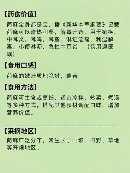 苘麻子是什么_苘麻子功效与作用-第1张图片-山城妙识