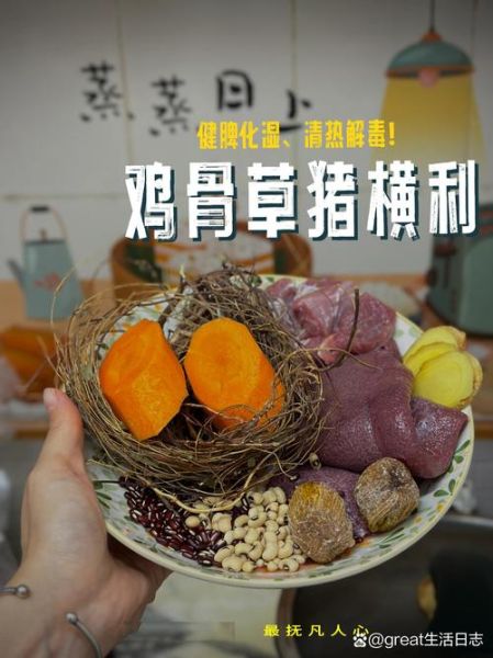 鸡骨草猪骨头煲汤放什么好_鸡骨草猪骨汤最佳搭配-第2张图片-山城妙识
