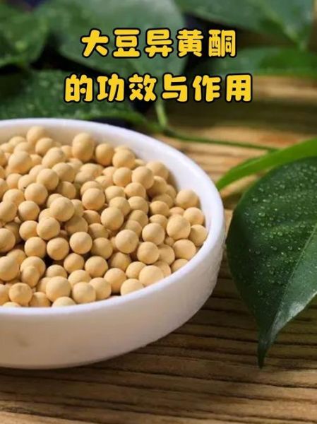 大豆异黄酮的功效与作用_副作用有哪些-第3张图片-山城妙识 大豆异黄酮的功效与作用_副作用有哪些-第3张图片-山城妙识