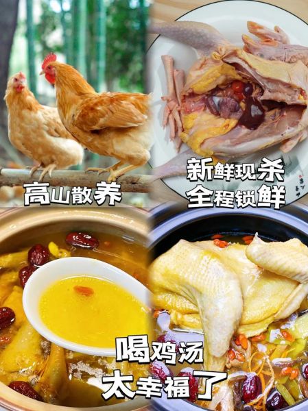 煲汤用什么鸡比较好_老母鸡还是三黄鸡-第2张图片-山城妙识