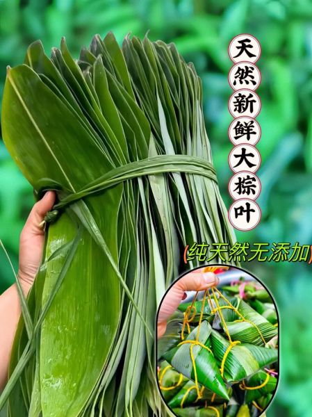 棕榈叶可以包粽子吗_棕榈叶包粽子安全吗-第2张图片-山城妙识